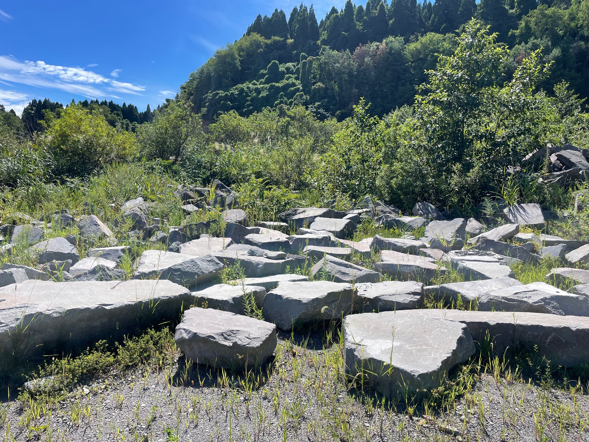 ｜MOLX – もるくす建築社｜秋田・美郷の建築設計事務所／工務店