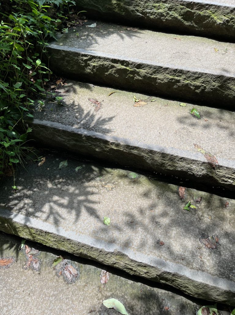 ｜MOLX – もるくす建築社｜秋田・美郷の建築設計事務所／工務店